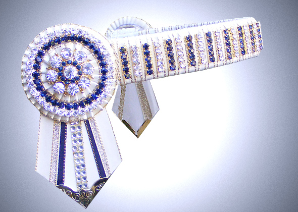 Finishing Touch Equestrian - Mega Bling Browbands